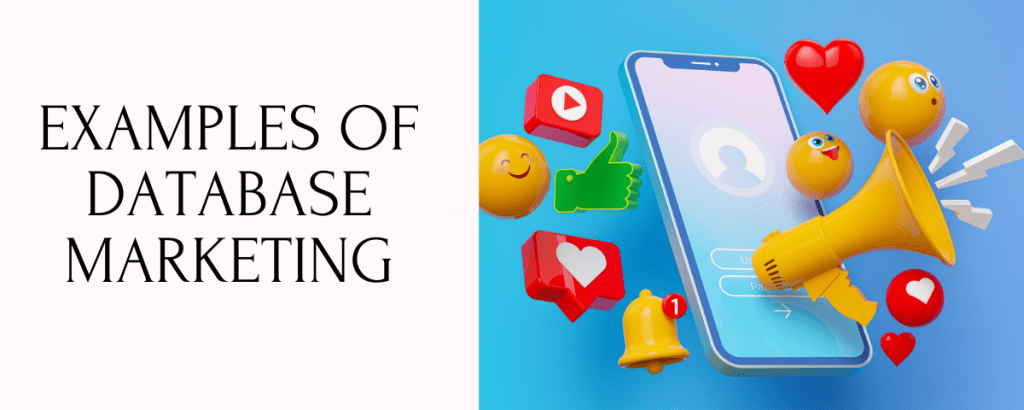 What Is Database Marketing: A Comprehensive Overview